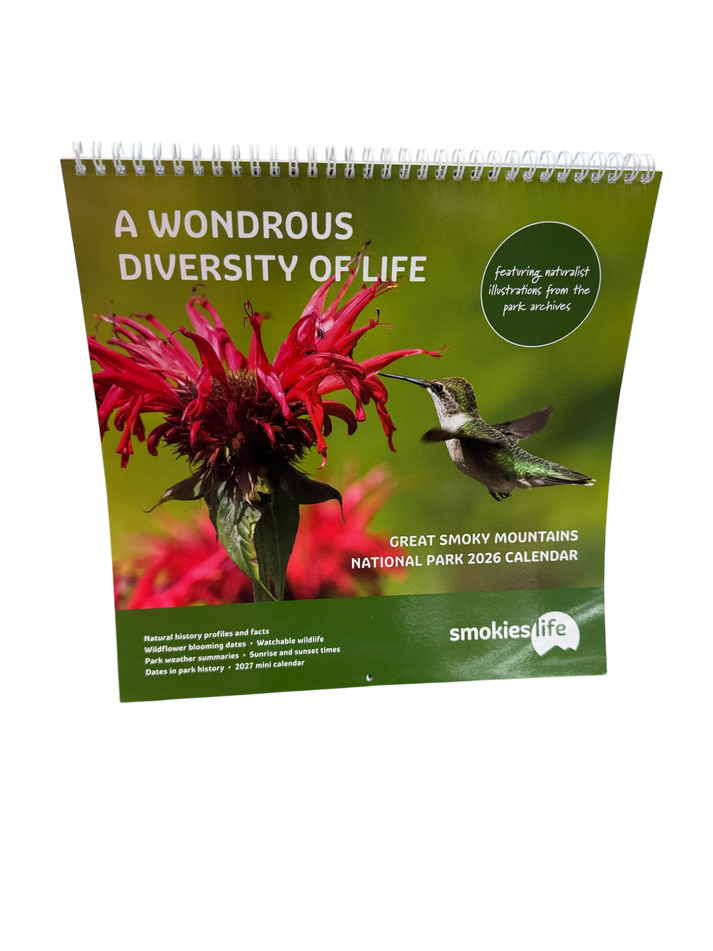 Skip to product information