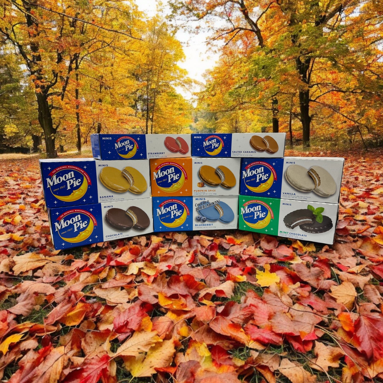 MoonPie General Store and the Original Book Warehouse