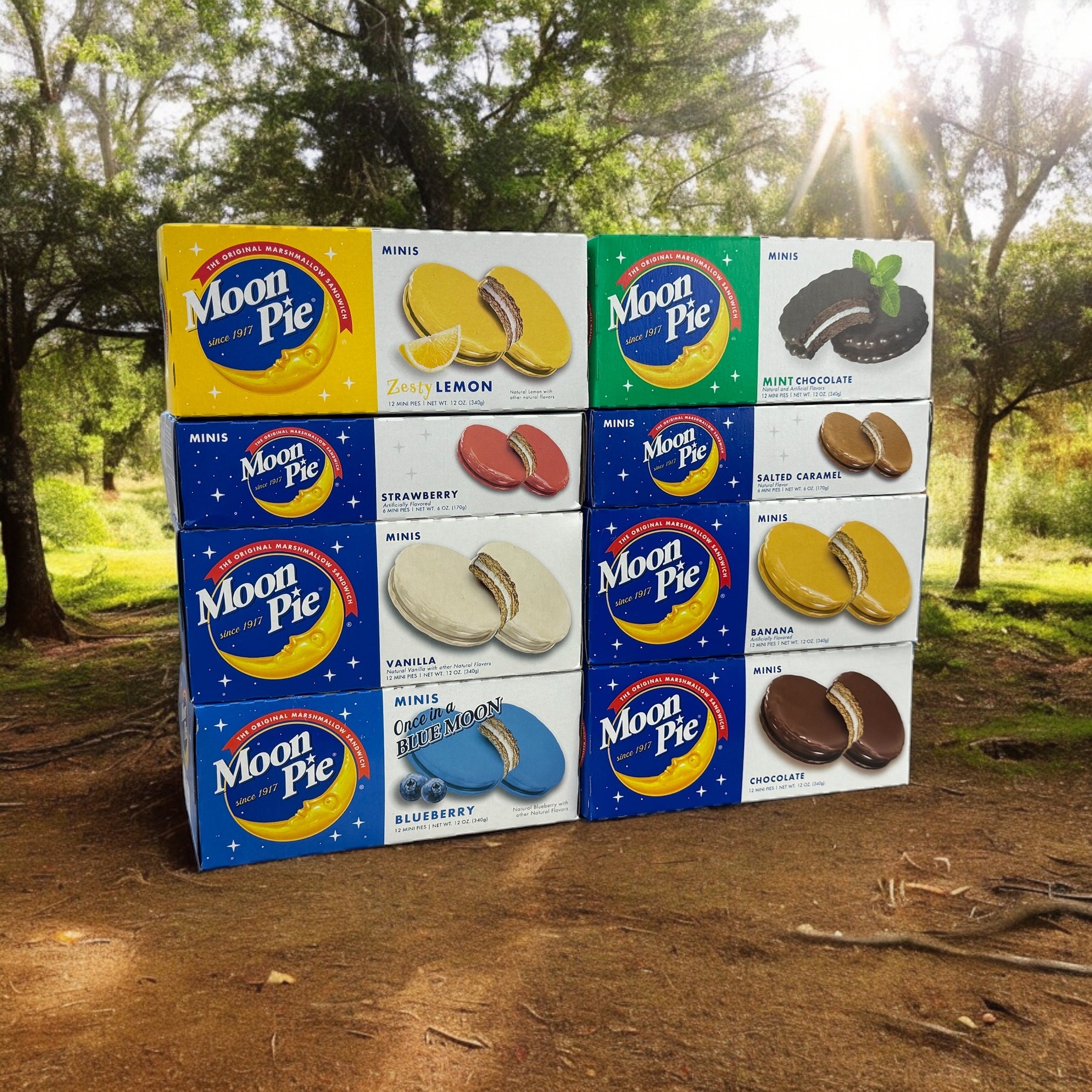 MoonPie General Store and the Original Book Warehouse